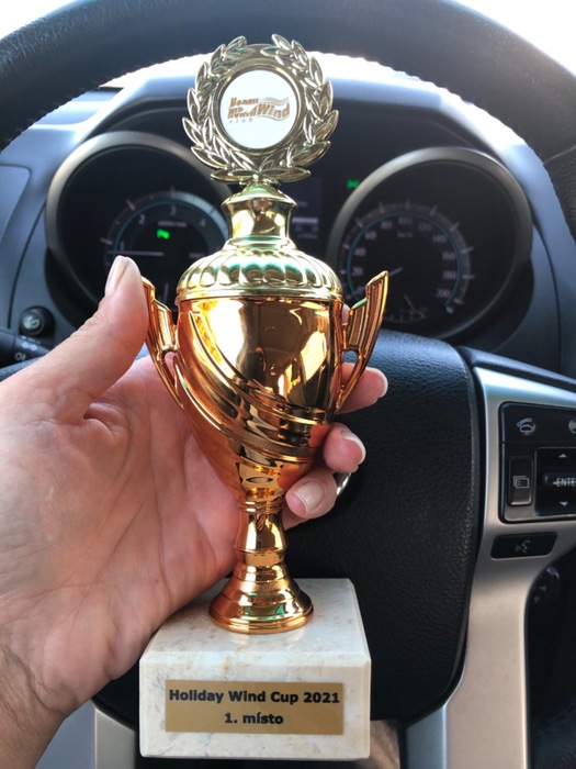 en-Holiday Wind Cup :: Indiana Reeva